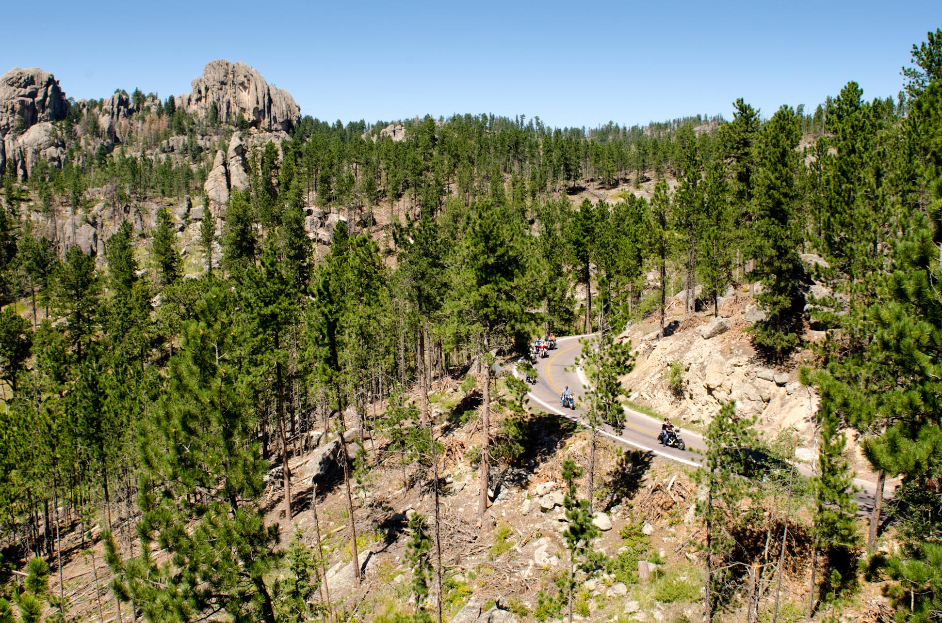 Black Hills Riding: The Needles Highway | See the world, understand the ...