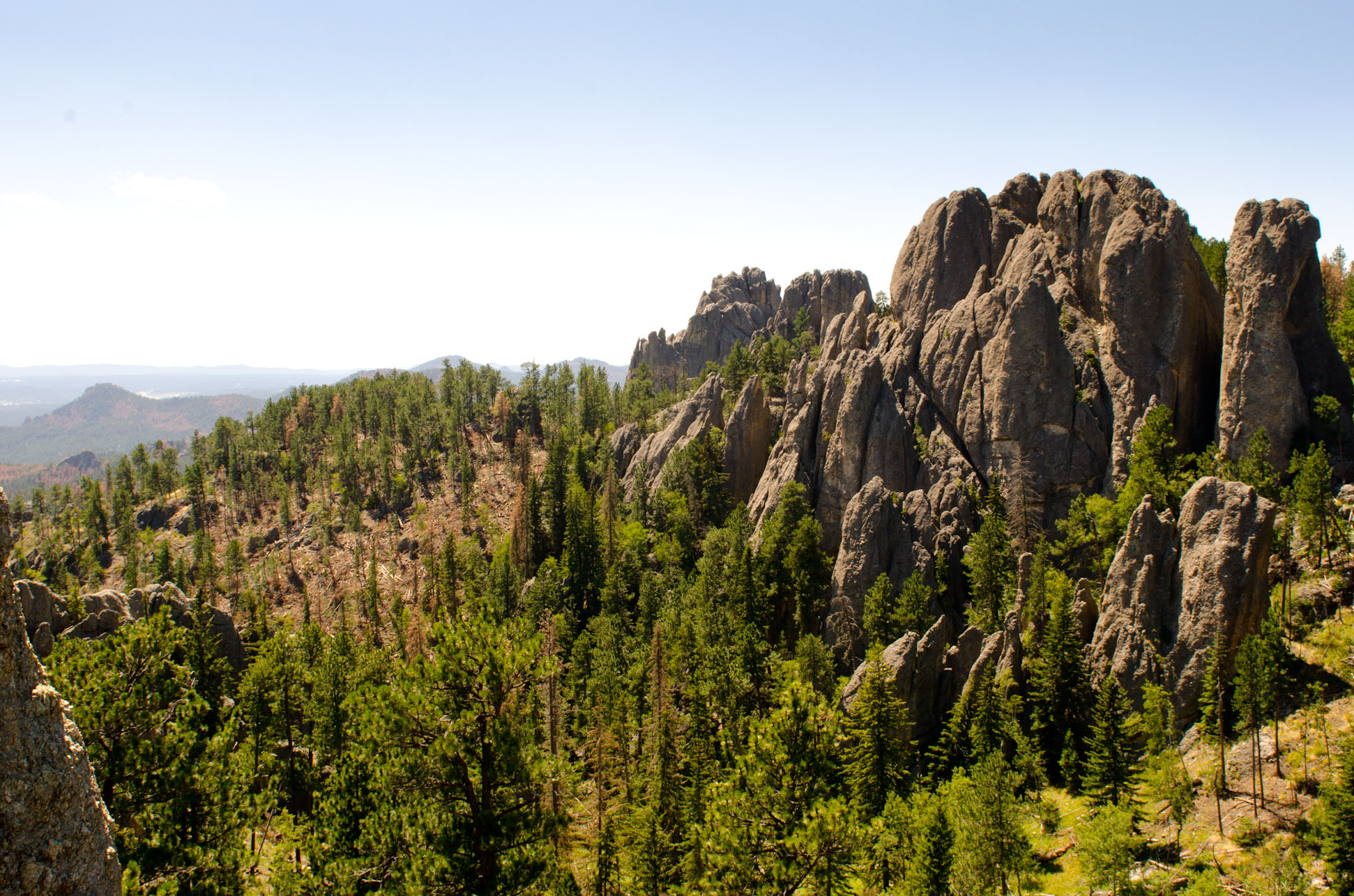 Black Hills Riding: The Needles Highway | See the world, understand the ...