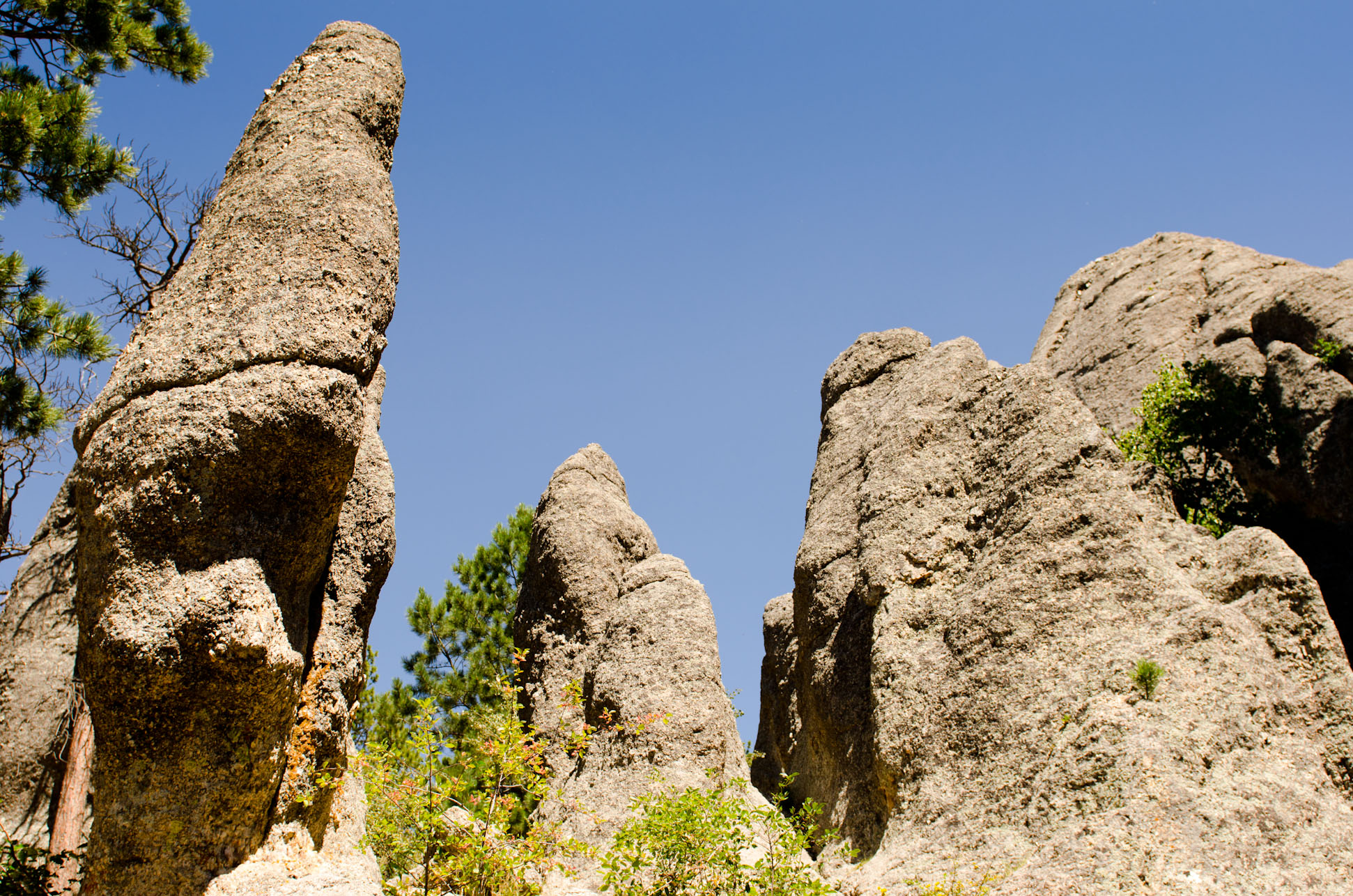 Black Hills Riding: The Needles Highway | See the world, understand the ...