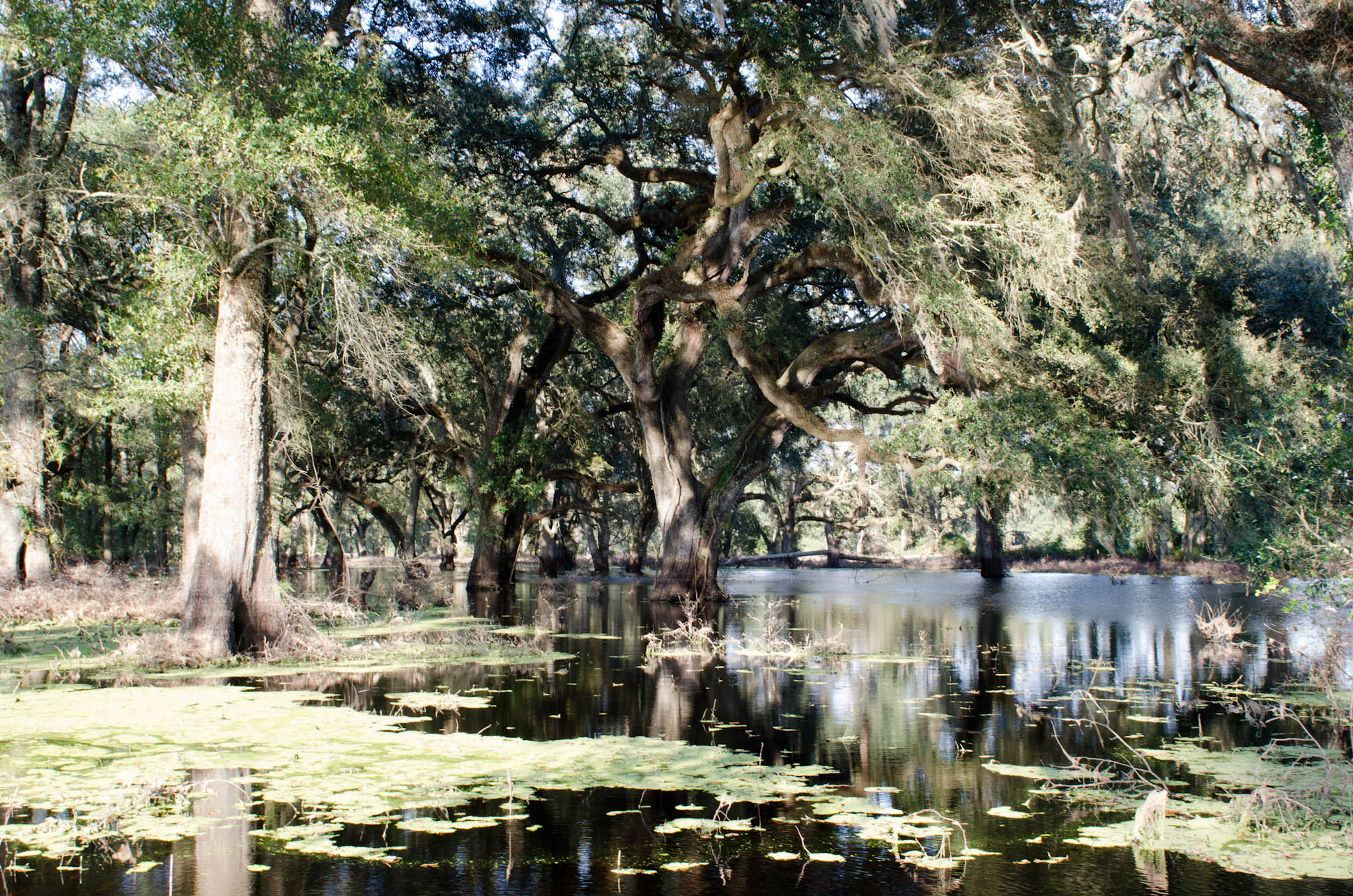 Gulf Coast - The Final Leg | See the world, understand the world ...