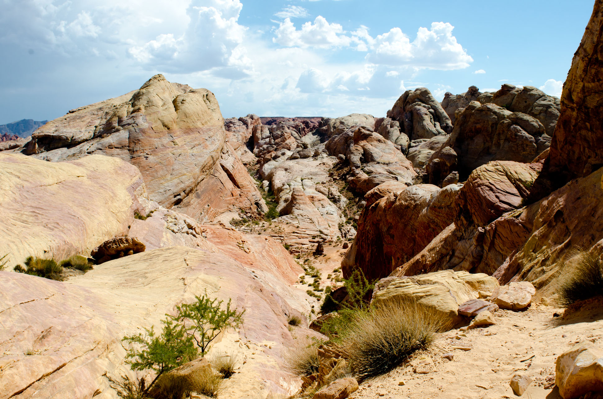 The Valley of Fire | See the world, understand the world, improve the ...